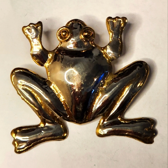 Jewelry | Vintage Sj Signed Brooch Pin Pendant Large Frog Toad Mexico ...